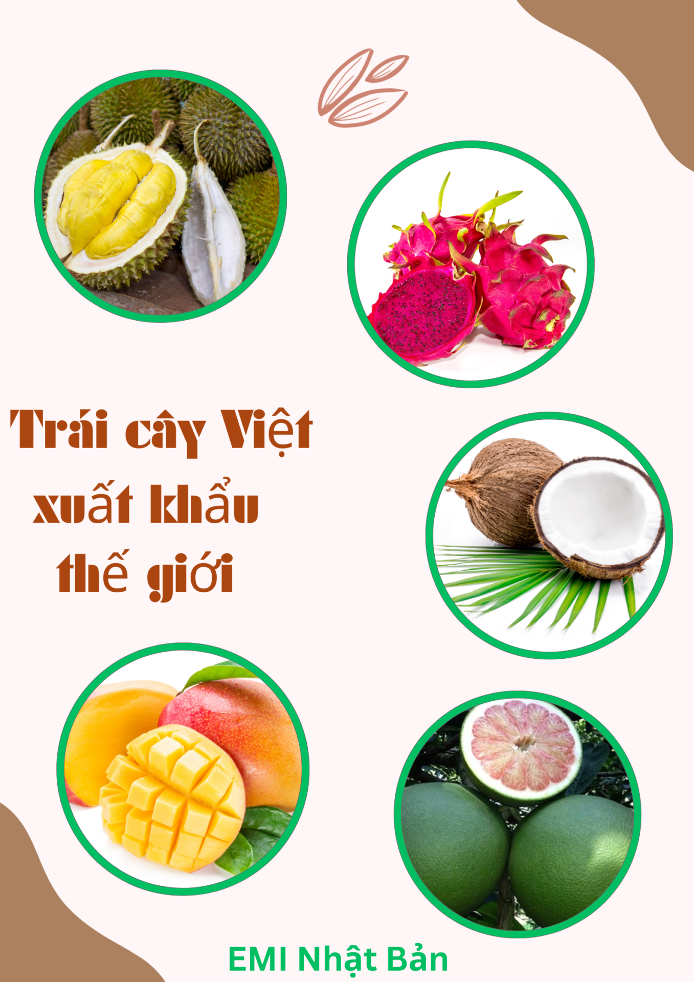 Trái cây Việt "tung cánh" toàn cầu - EMI NHẬT BẢN - Nhà nông không dùng ...